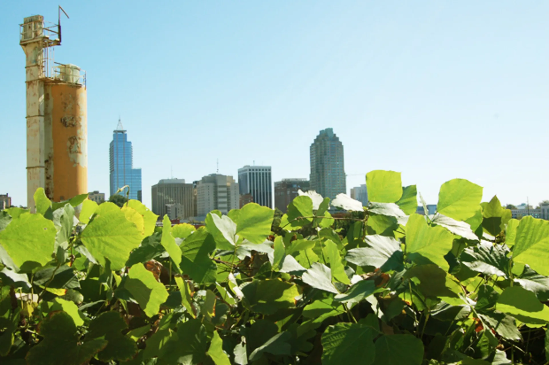 Why You Should Start a Company in... Raleigh-Durham - Fast Company