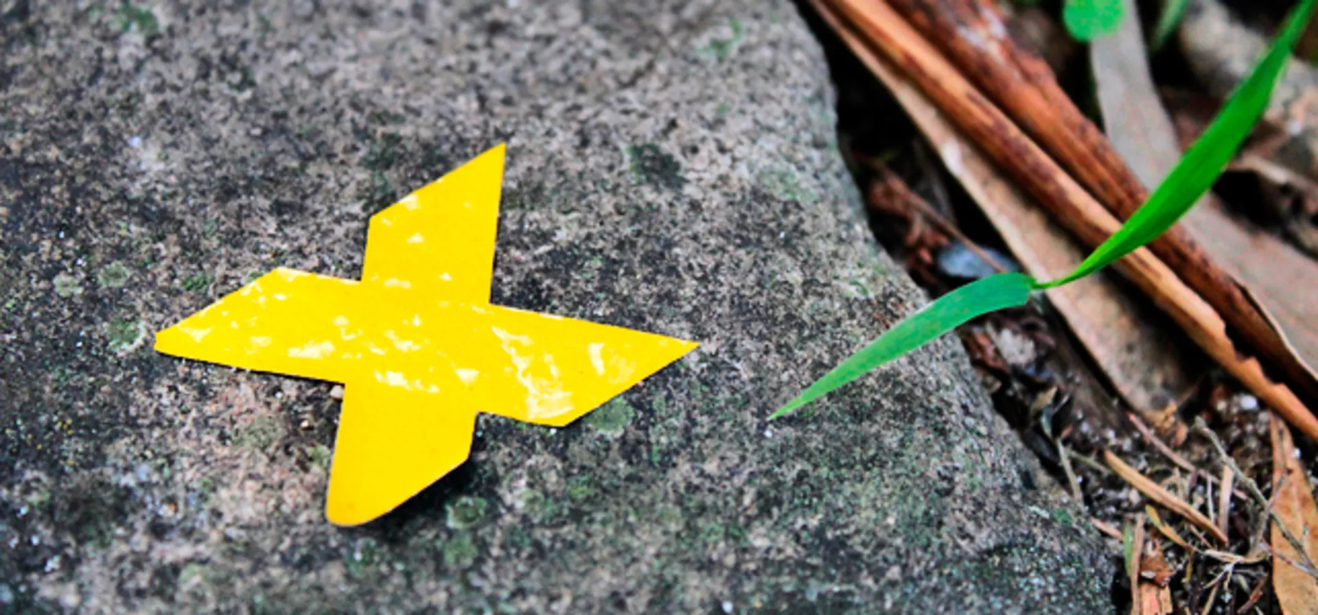 How To Set Wildly Important Goals, And What They'll Do For You - Fast ...