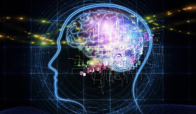 There's More To Google's Artificial Brain Than Finding Cats On The ...
