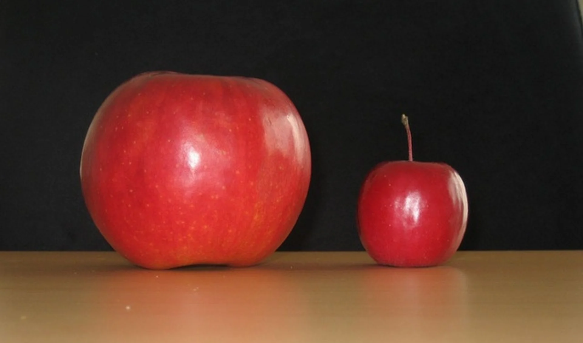 Apple Rumor Patrol: The Truth About The Long-Promised iPad Mini ...