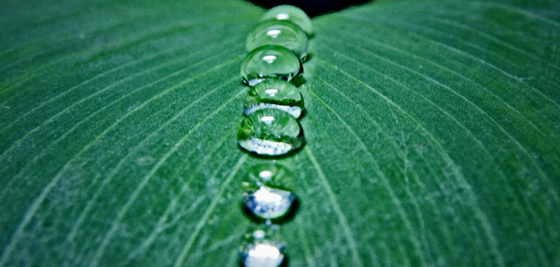 The 7-Step Model For Creating Sustained Economic Transformation - Fast ...