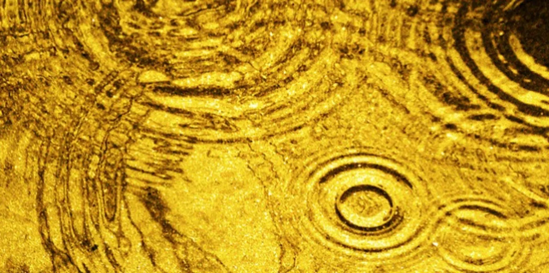 What Being A Meta-Leader Really Means - Fast Company