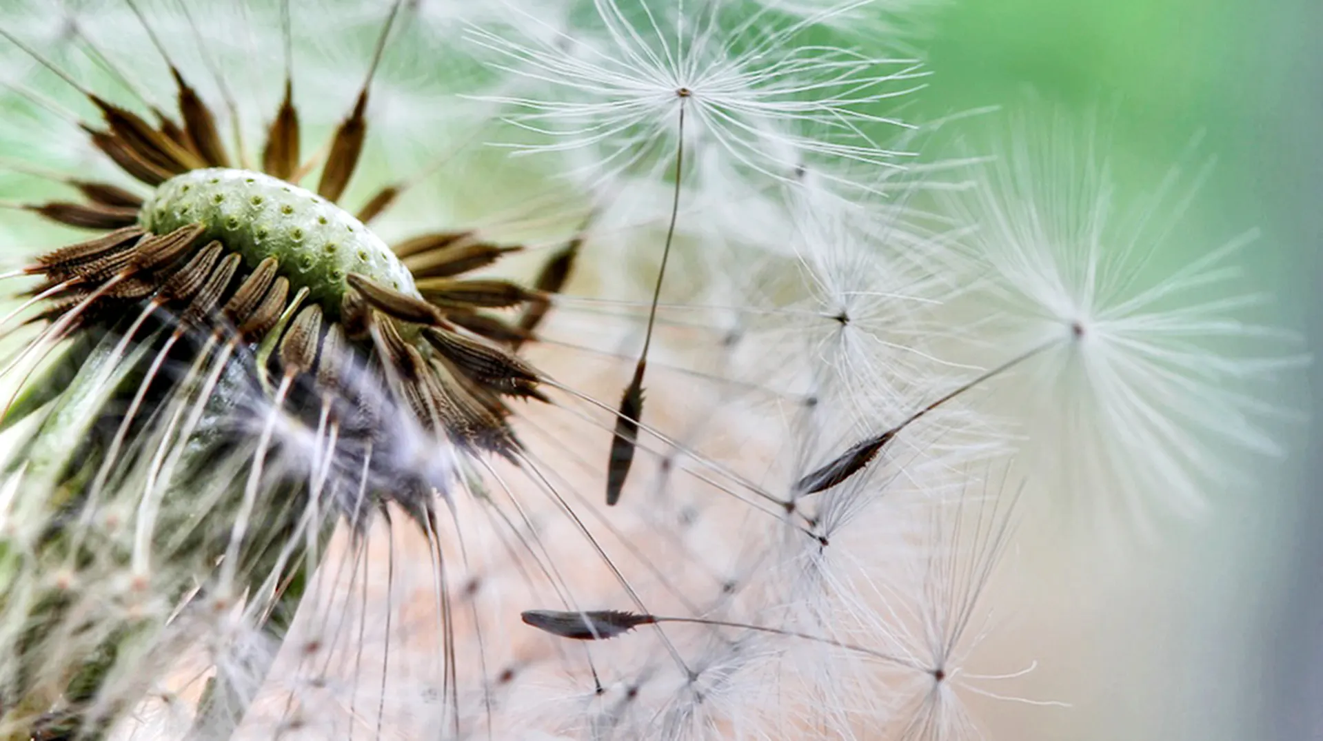 When It Comes To Content Strategy, It's Better To Think About ...