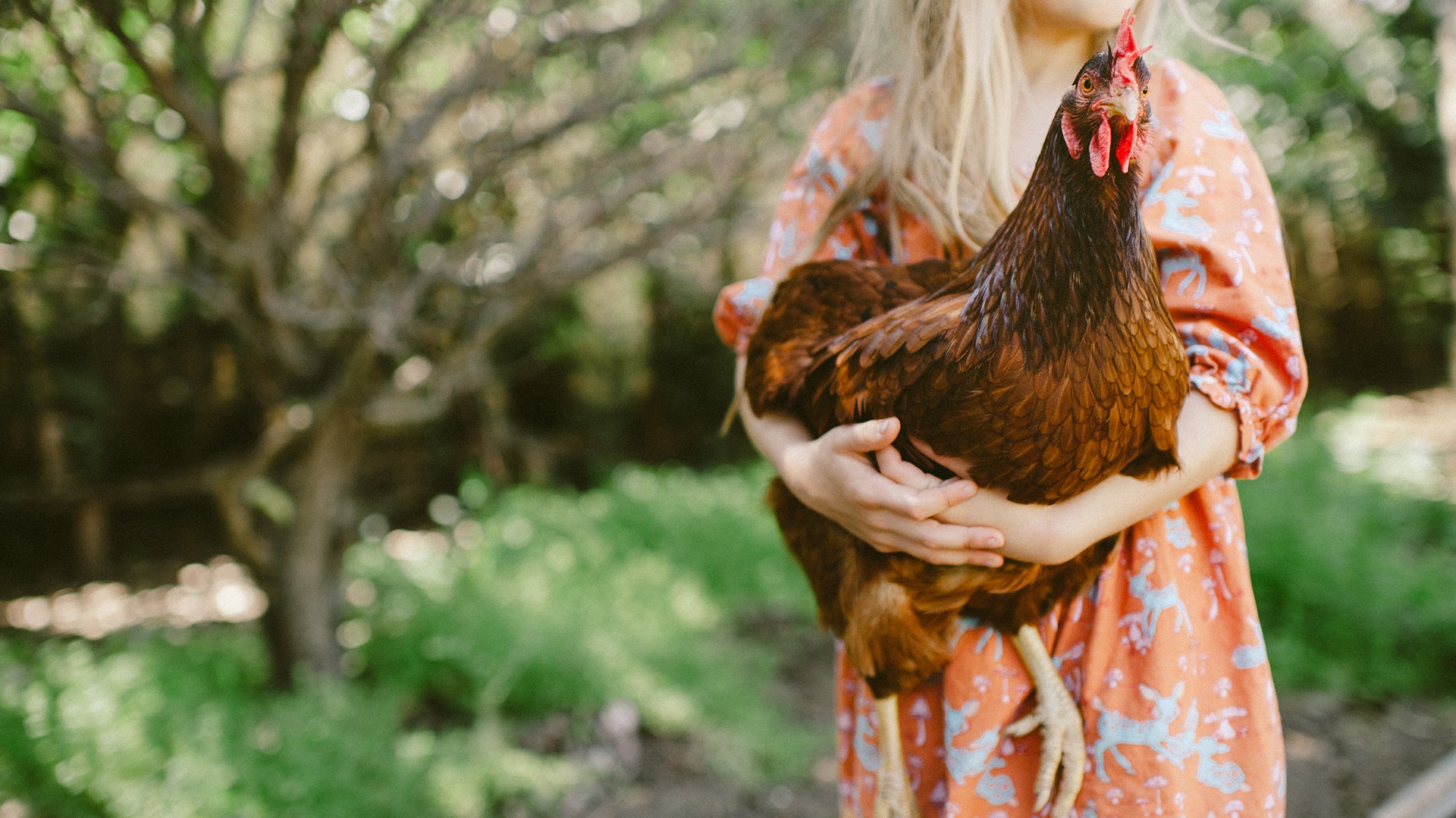 iStockphoto Creator Bruce Livingstone Takes A Second Stab At Stock ...