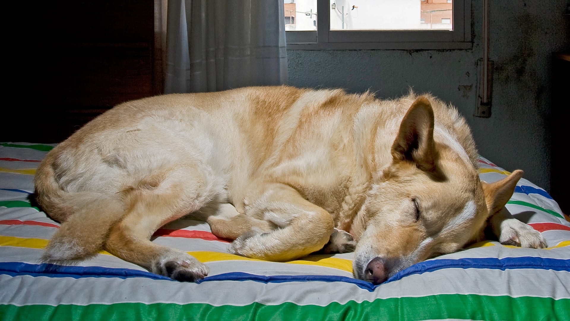 The Science Behind What Naps Do For Your Brain-And Why You Should Have ...