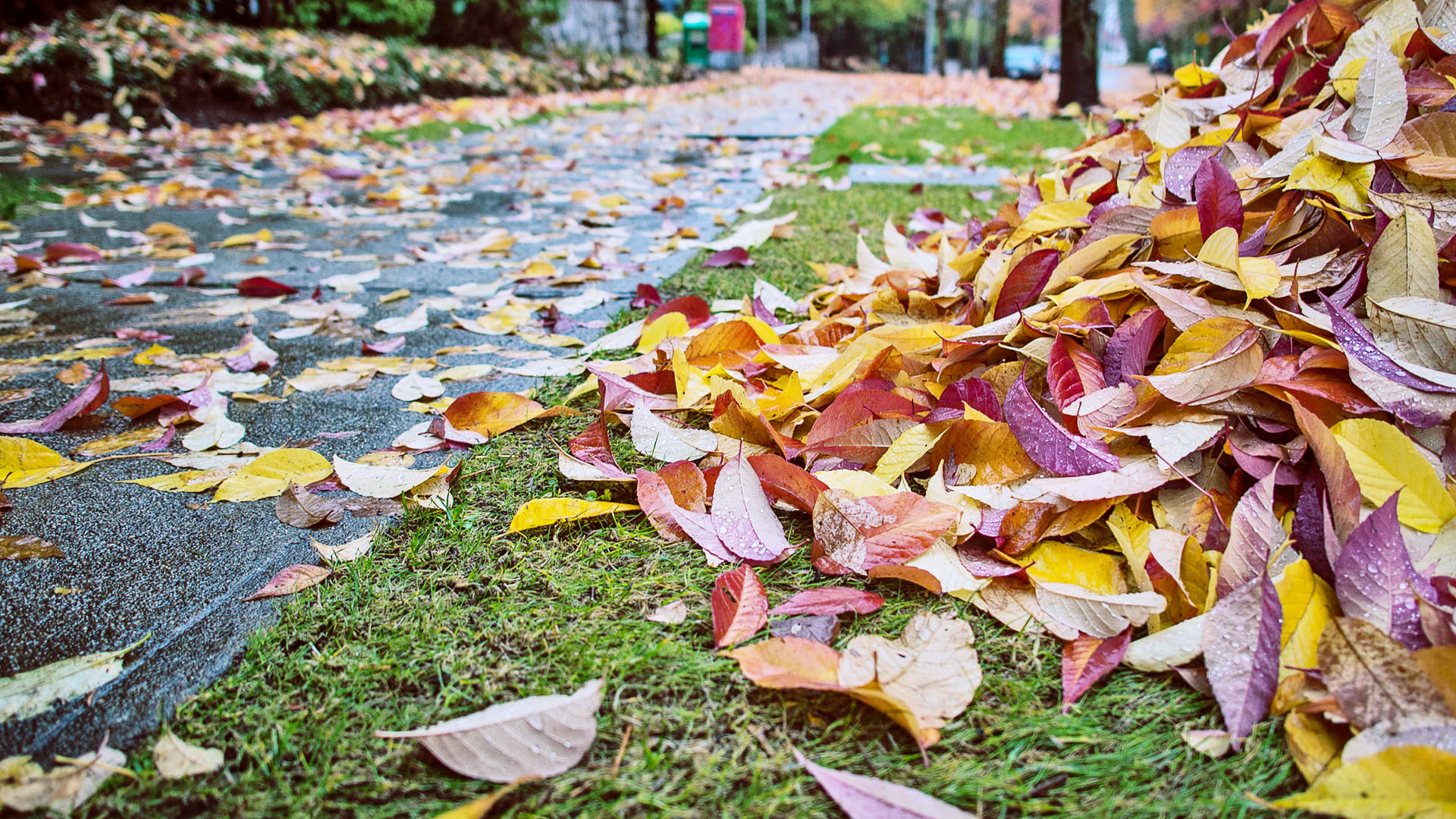 5 Free Apps That Will Help You Repay Your Debts, Enjoy The Fall, Build ...