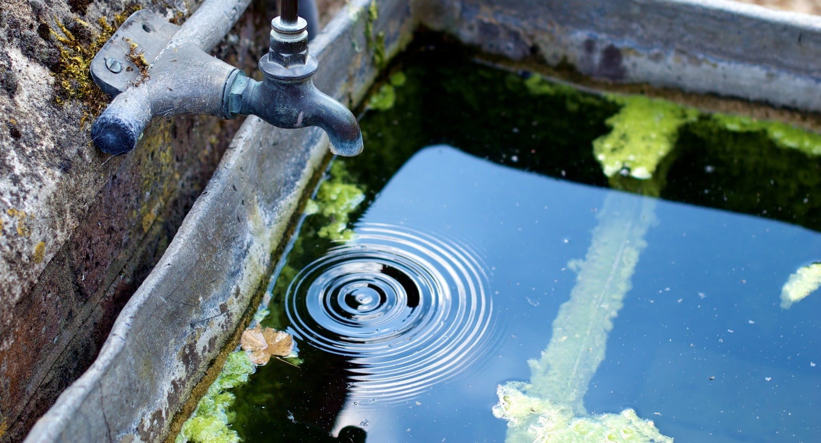 radioactive water - Fast Company
