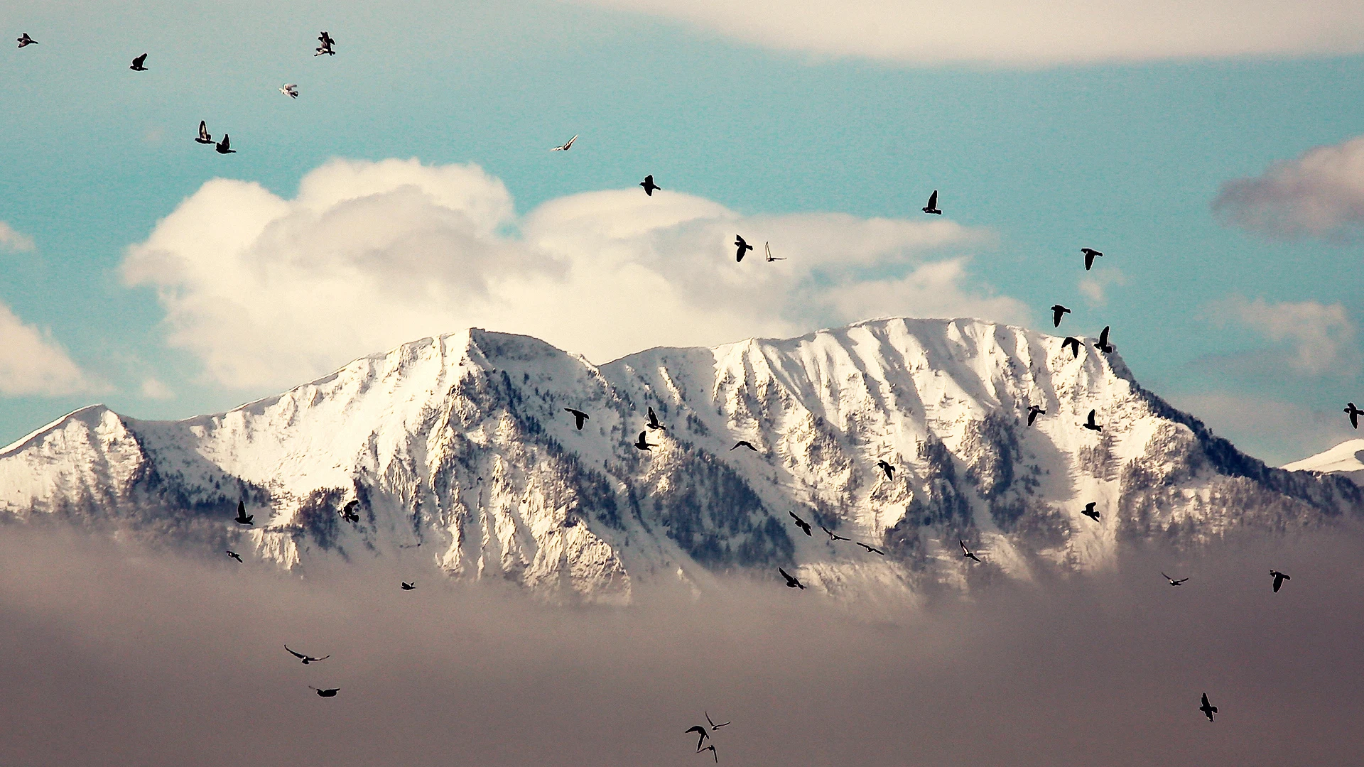 Twitter IPO Filing: What You Need To Know - Fast Company