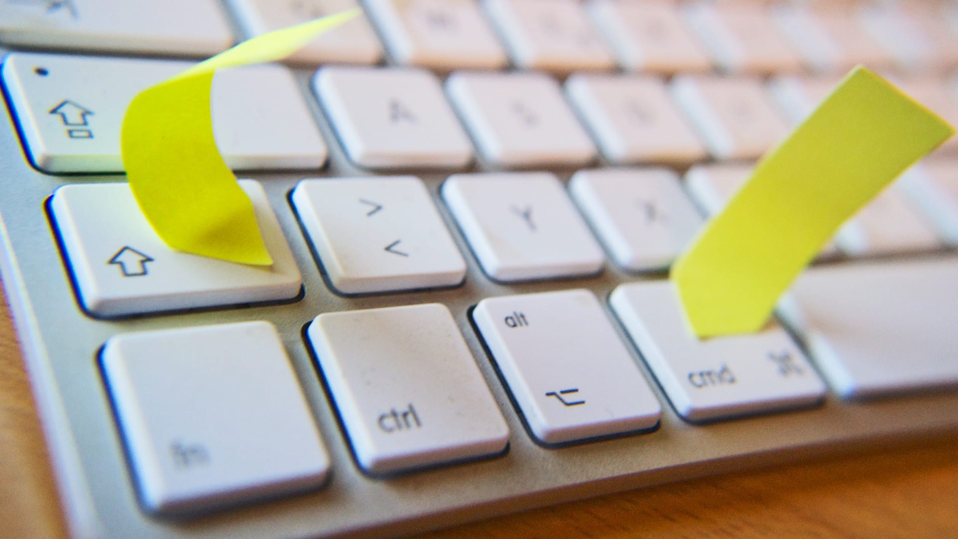 Become An Ios Developer In 8 Weeks The Truth About Hack Schools