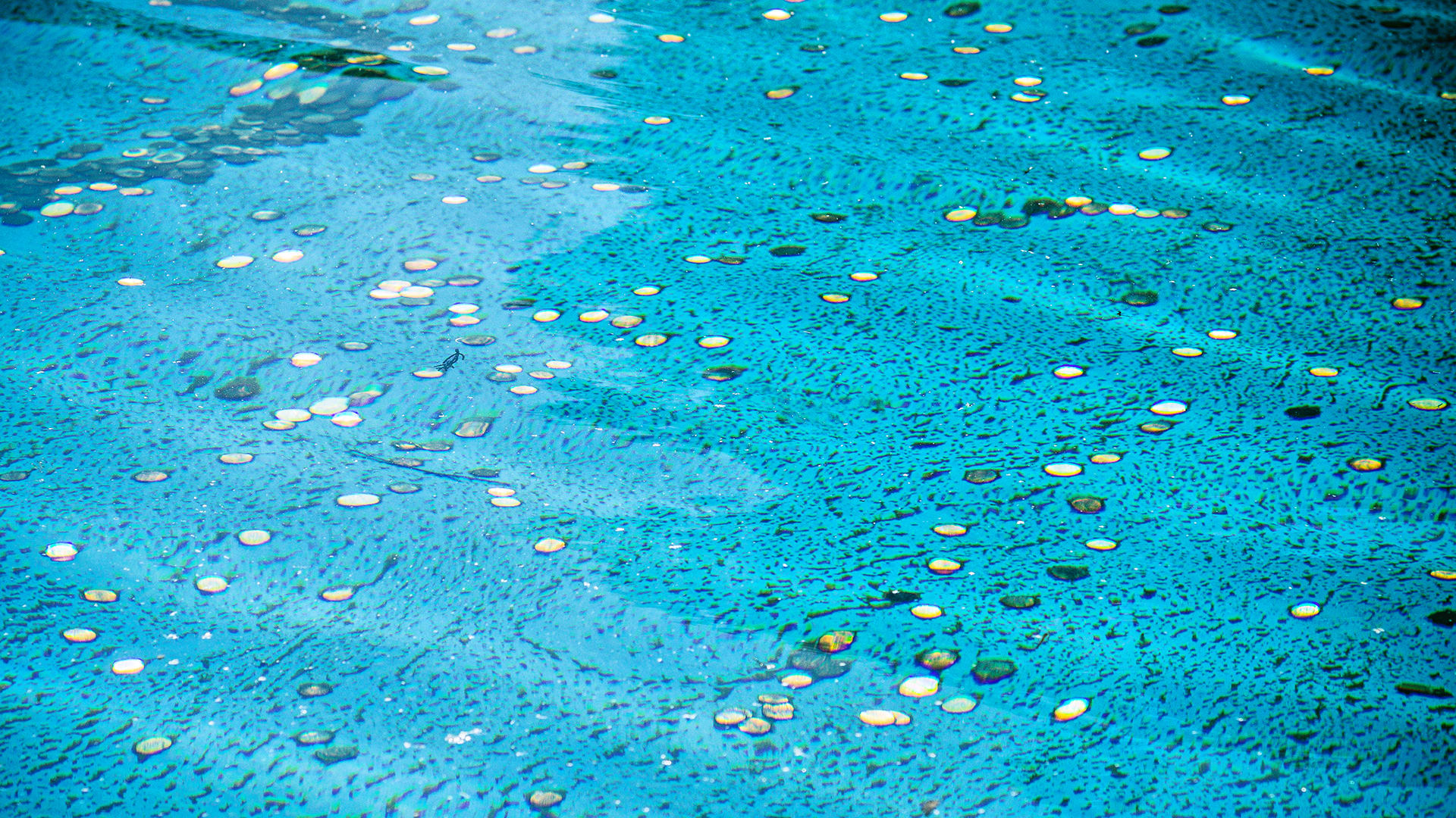 Why Bali Should Become A Bitcoin Island - Fast Company