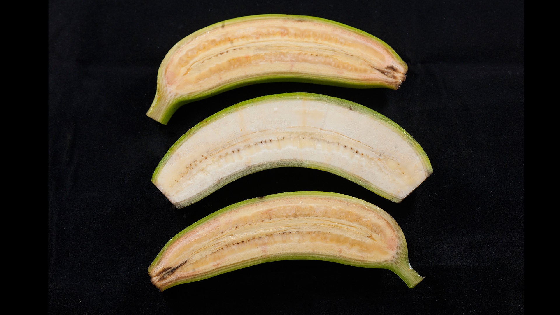 Humans Are About To Taste The First Genetically Engineered “Super ...