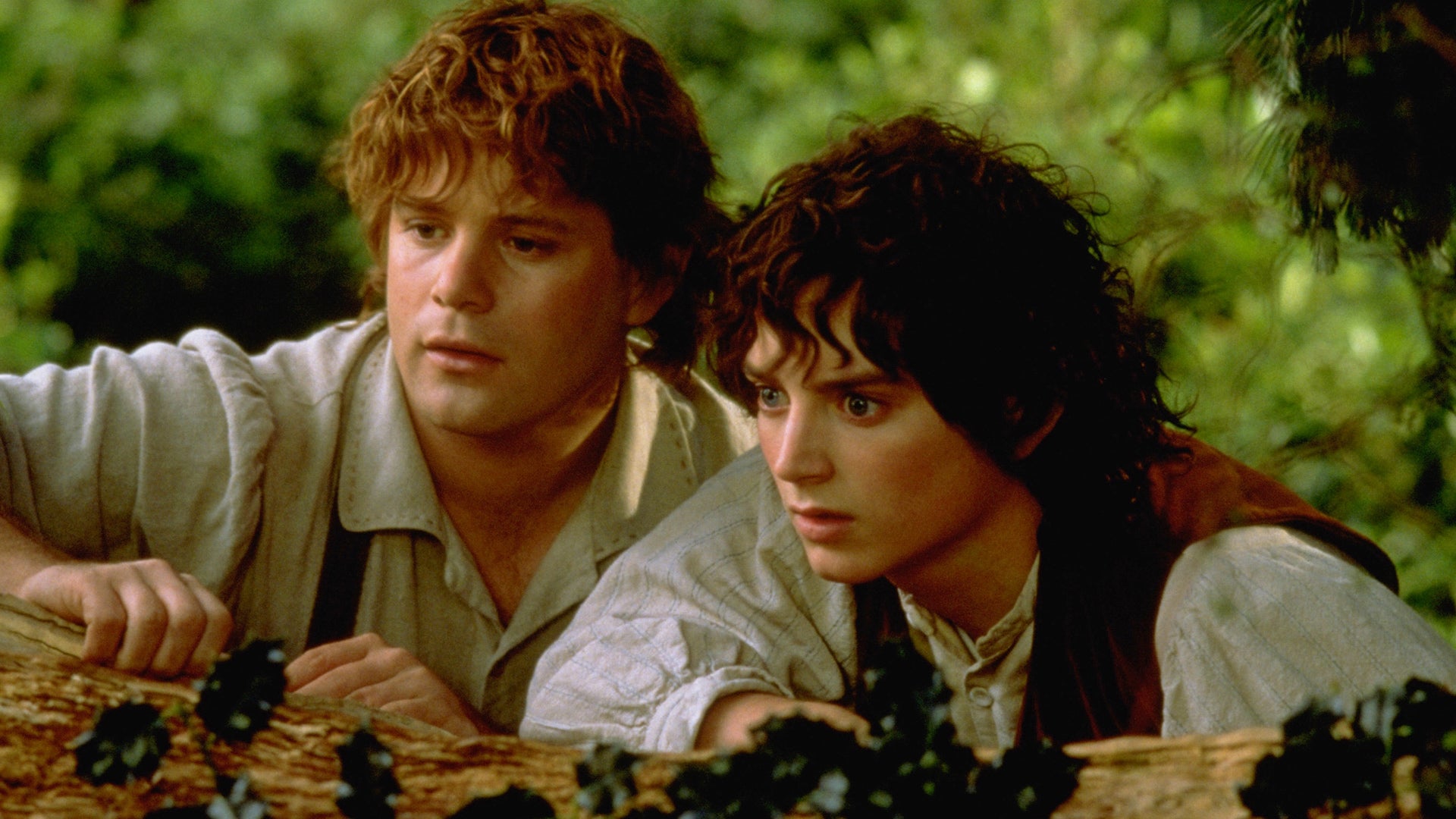 Infographic: This Map of All "Lord of the Rings" Journeys Goes There ...
