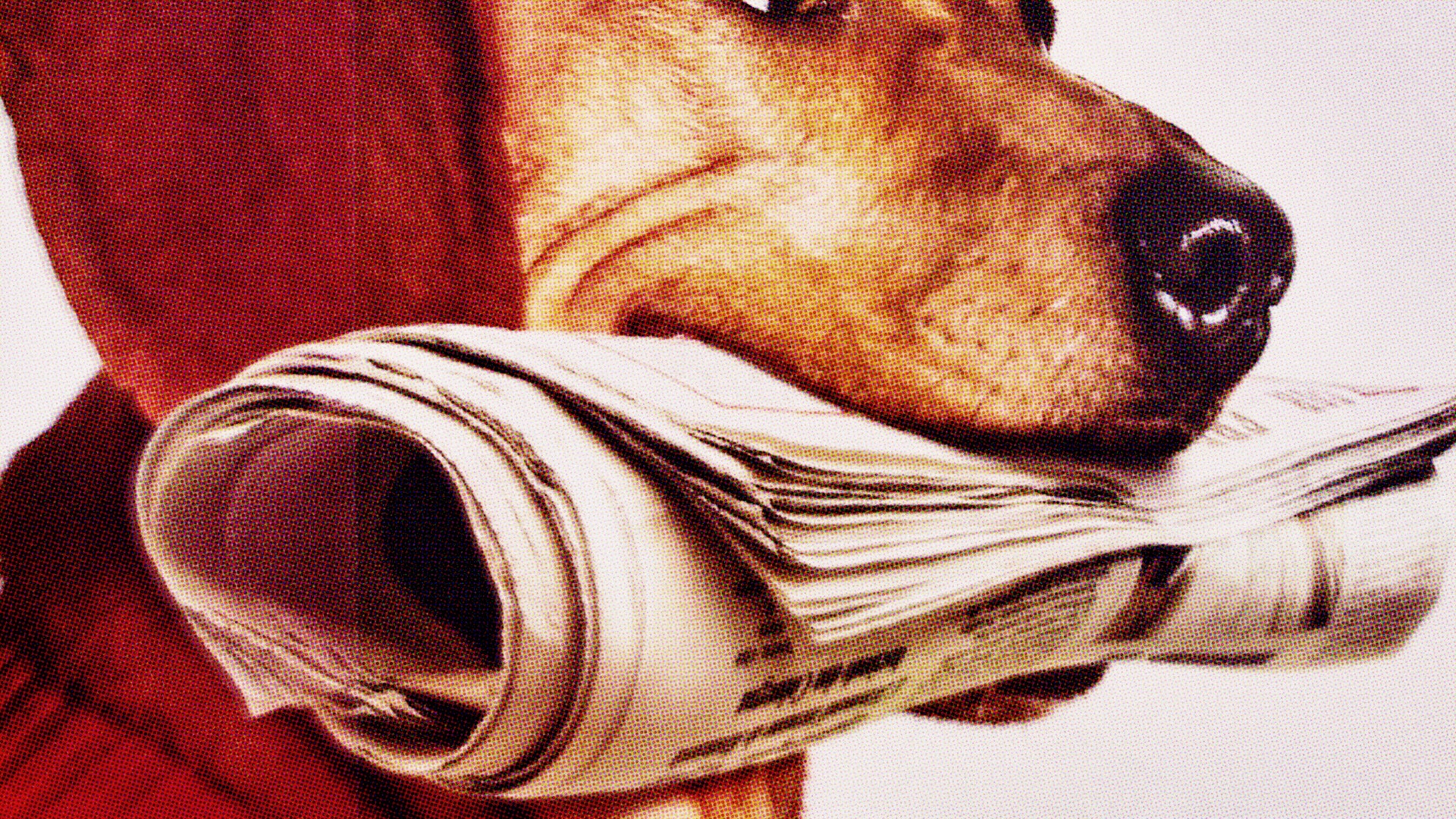 Tips On Crafting A Popular Newsletter, From Top Newsletter Authors ...