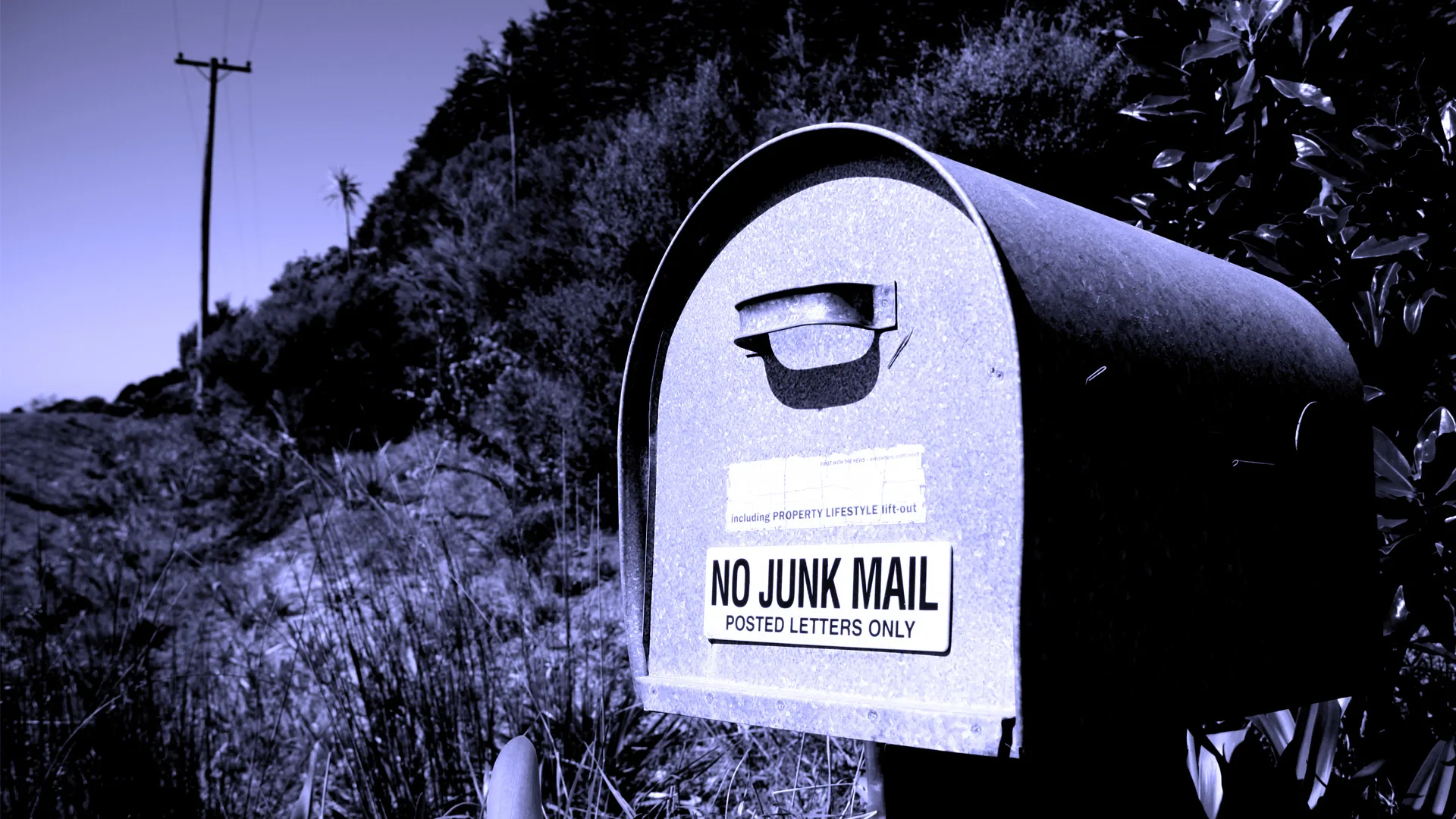 What We Learned From Sending 1,000 Cold Emails - Fast Company