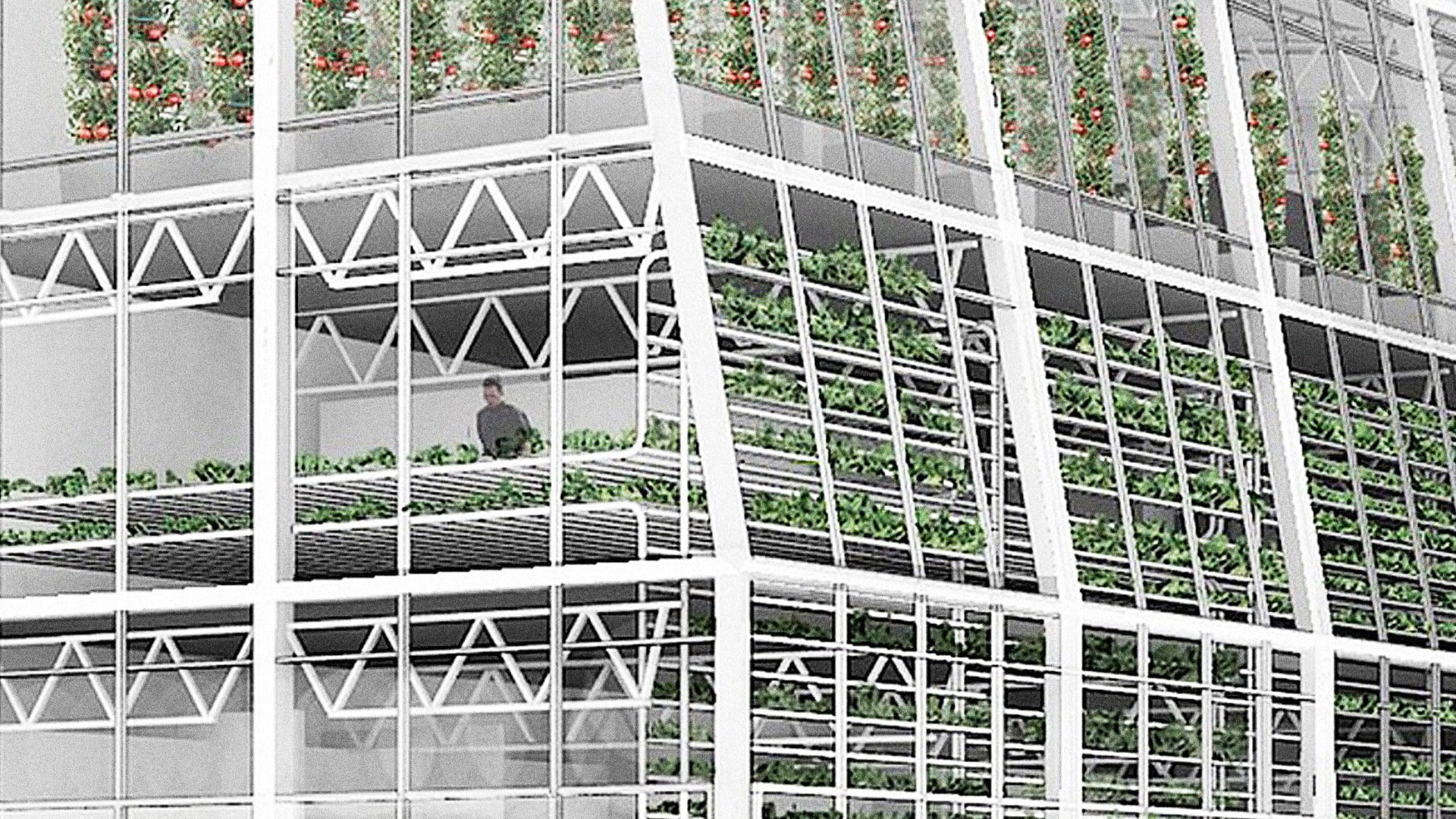 A Vacant Lot In Wyoming Will Become One Of The World's First Vertical ...