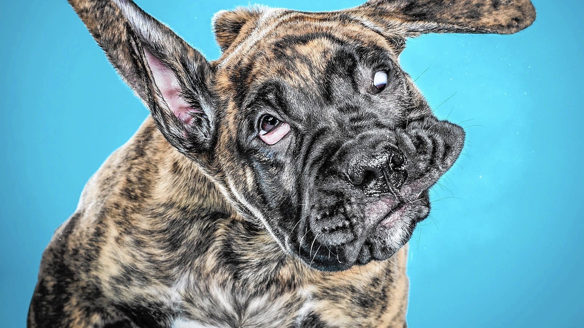 One Photographer's Journey: From Shoveling Poop To Running A Multimedia ...