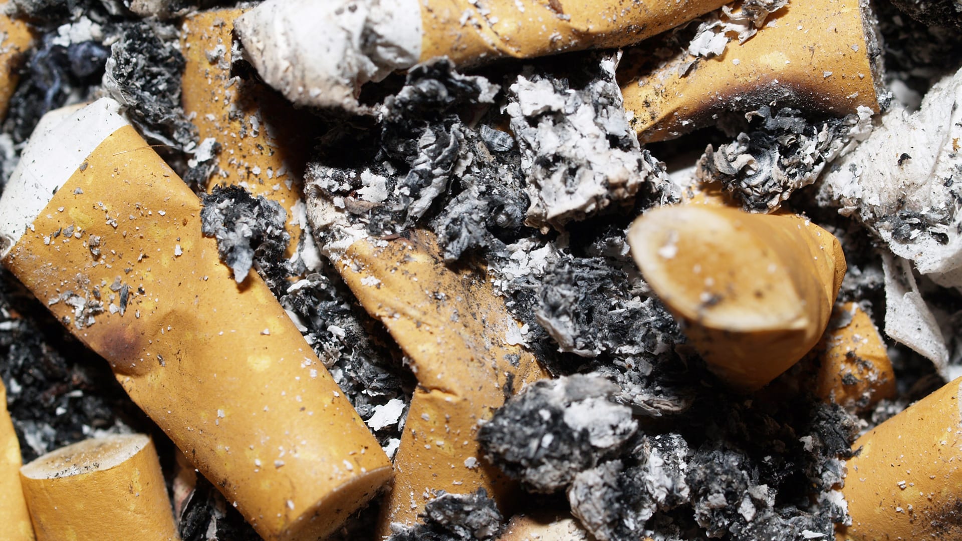 Phillip Morris - Fast Company