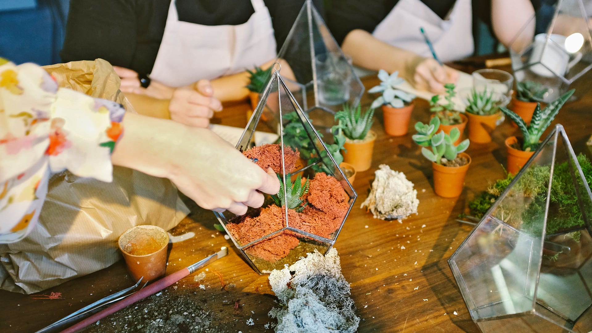 How To Plant An Urban Garden: A Step-By-Step Tutorial - Fast Company