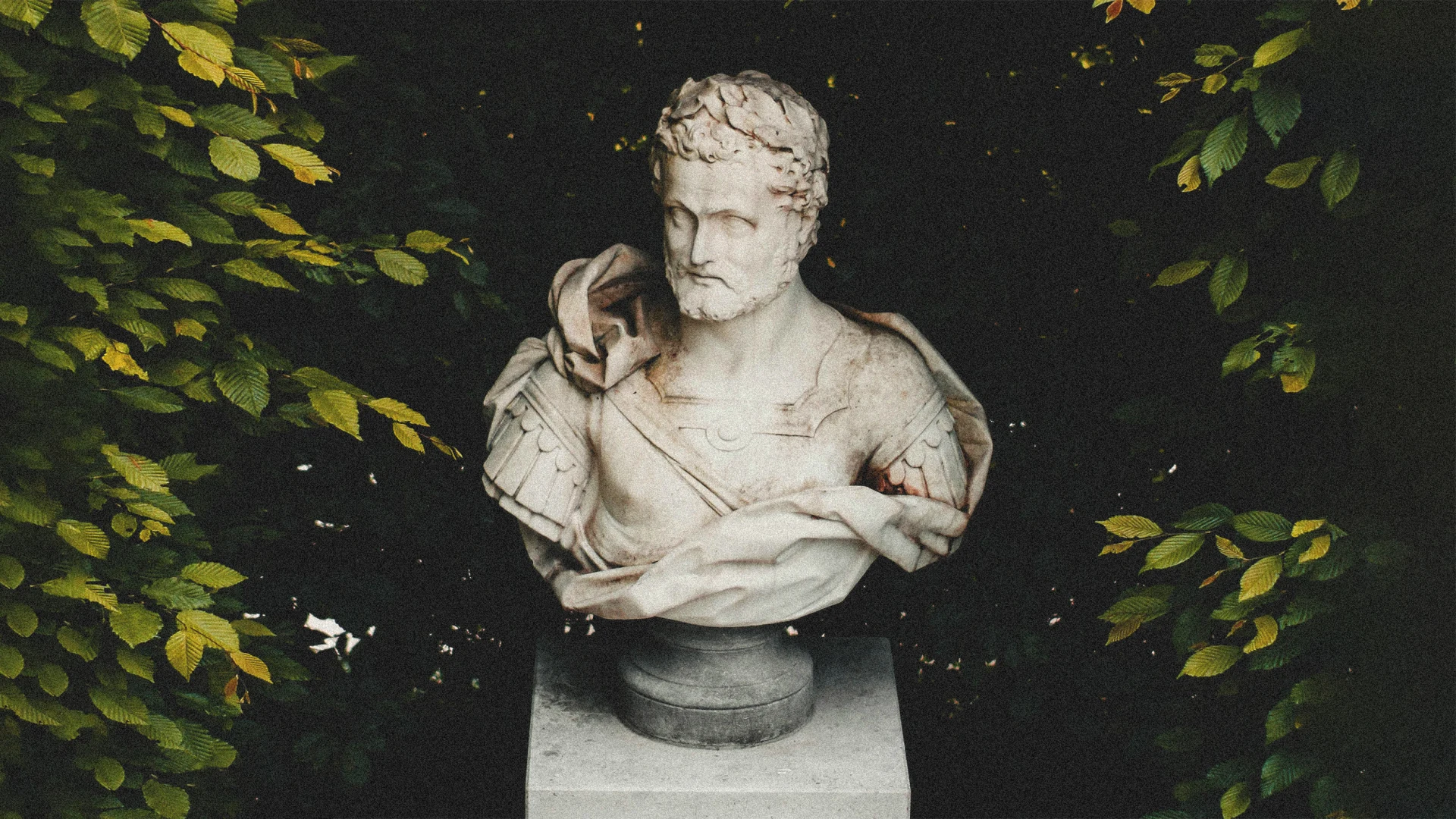 Gold medalist shares Stoic philosophy principles to unlock your peak ...