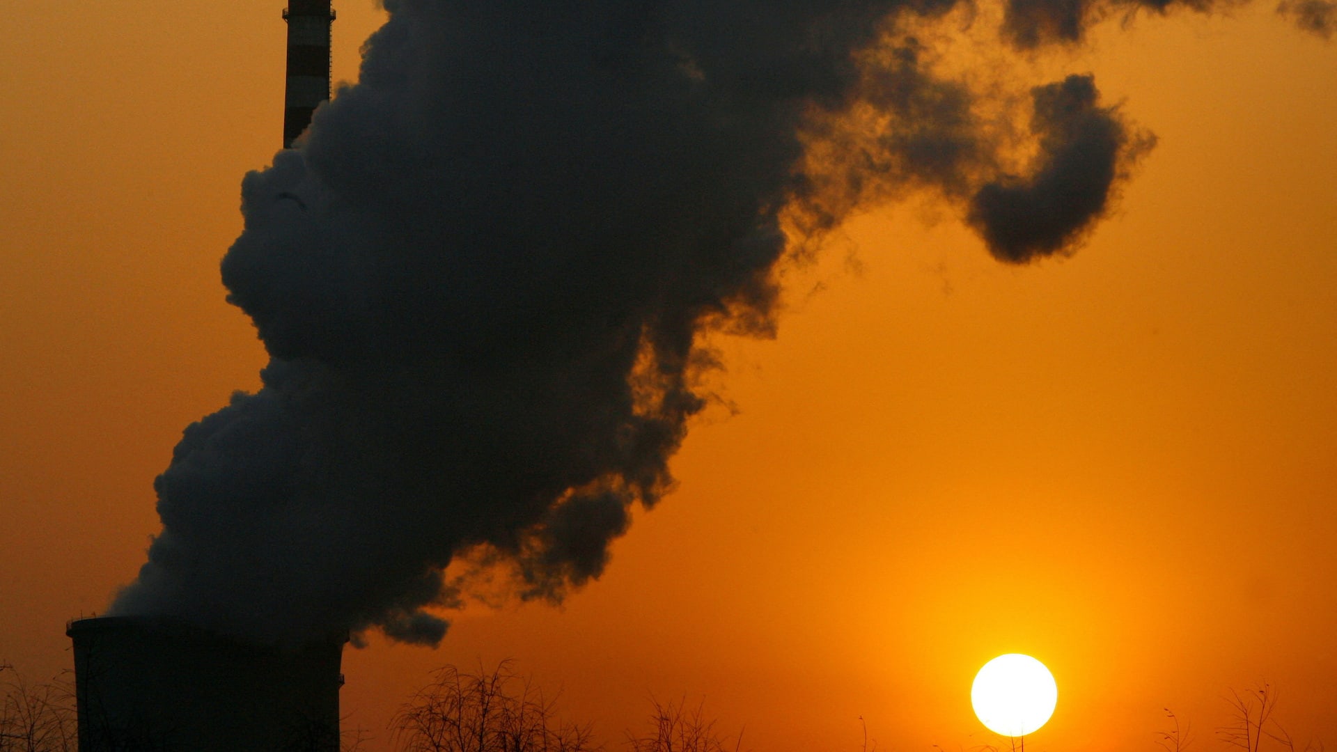 greenhouse gas emissions - Fast Company