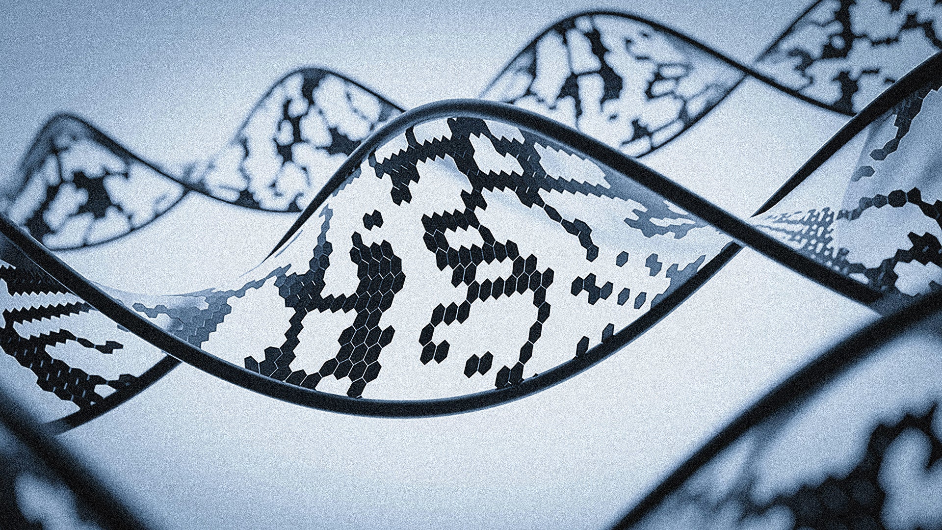 gene editing Archives - Fast Company