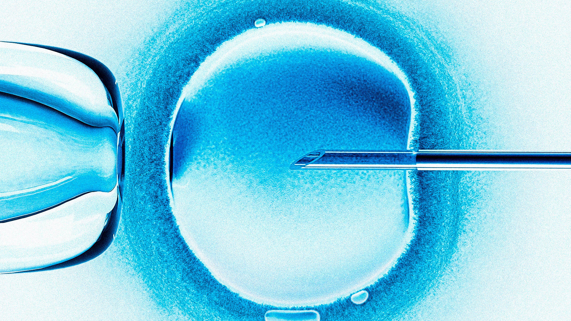 How AI could make IVF more accessible- Fast Company