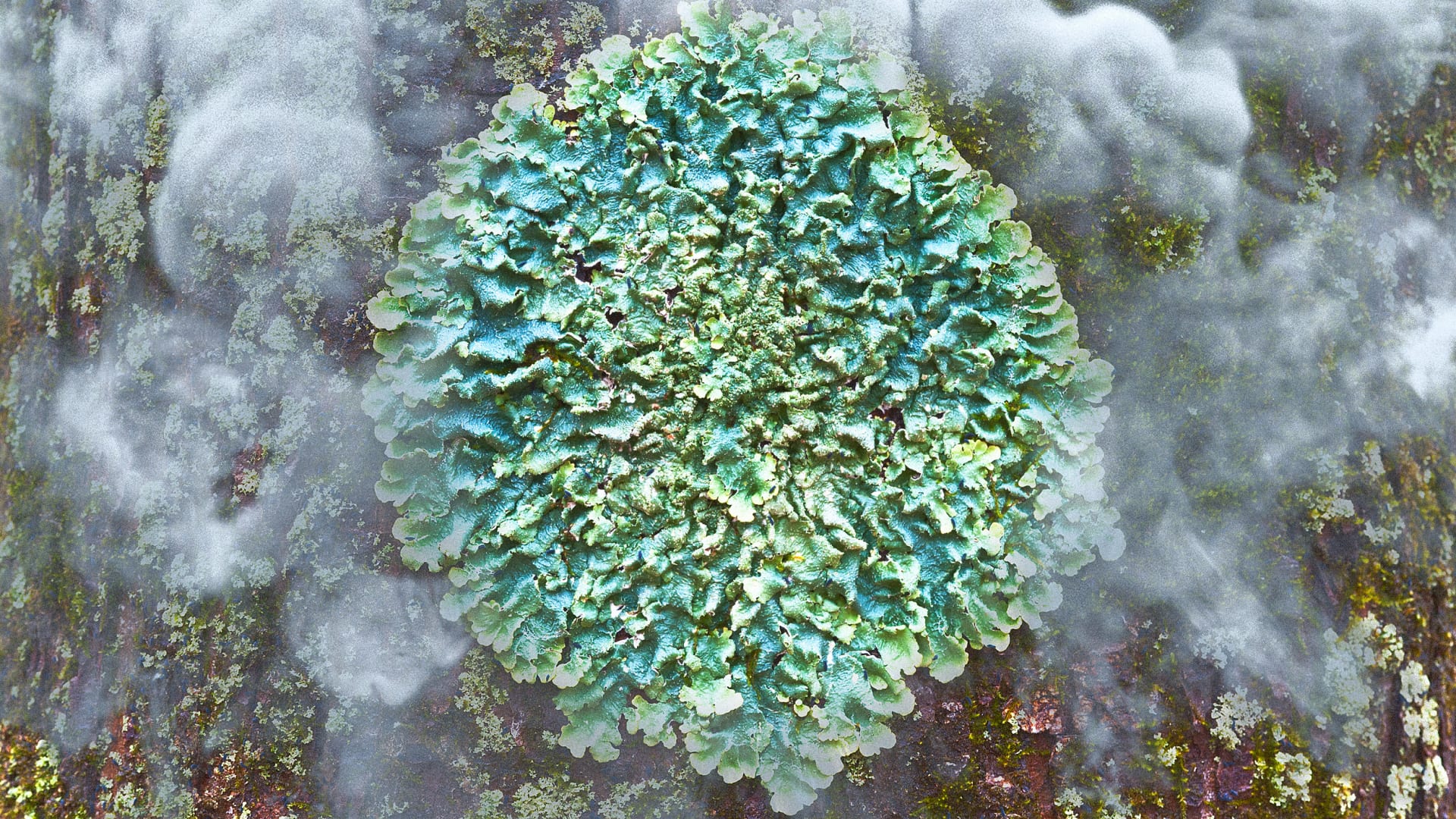 How an Arctic rock inspired this Texas couple to develop a new way to ...