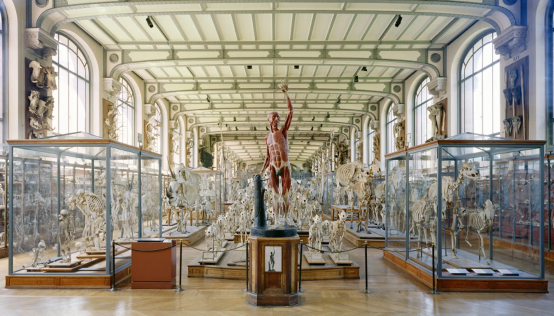 Honoring Richard Barnes, Photographer Of Taxidermy And The Unabomber ...