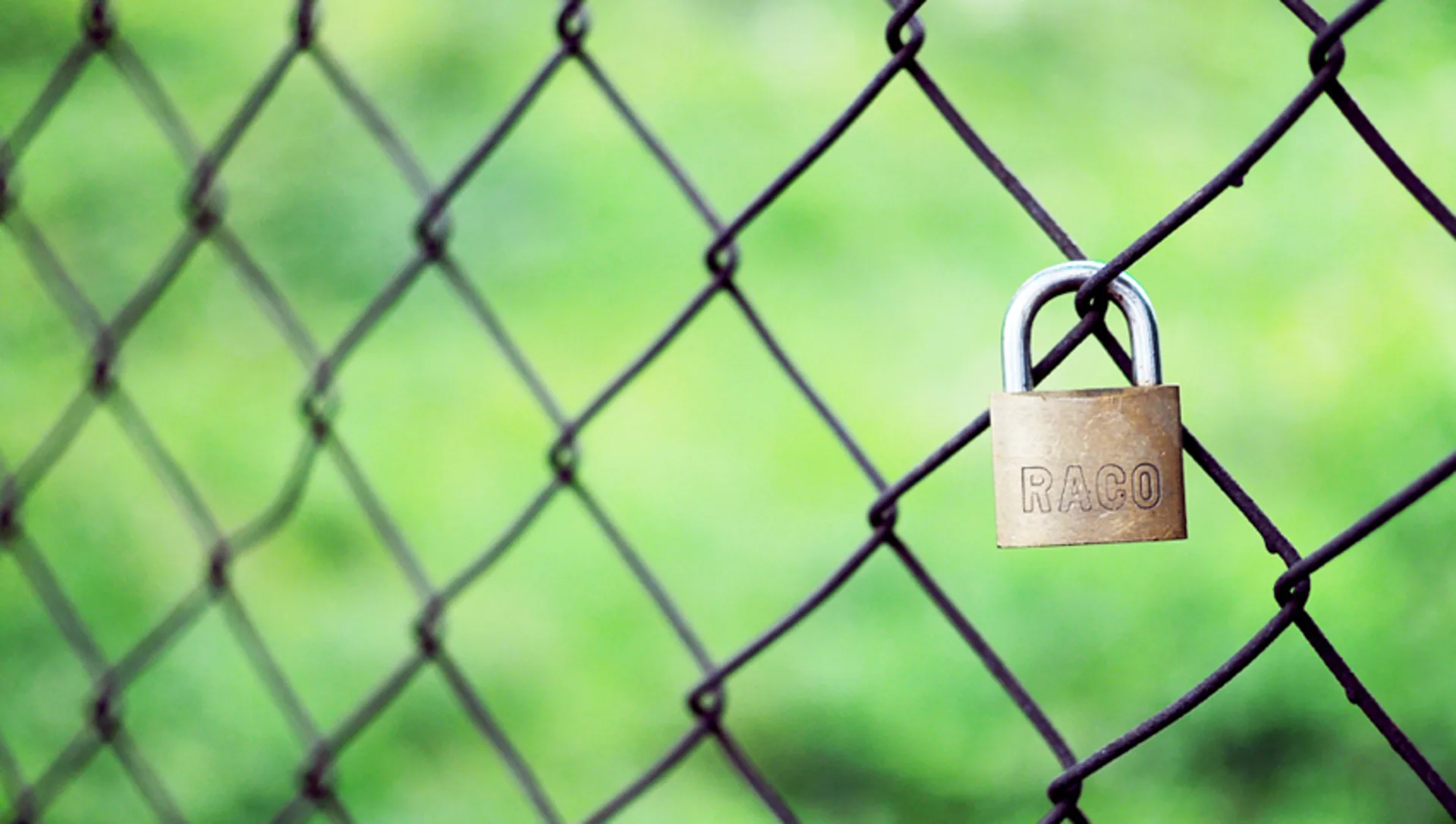 Gregg Bernstein - Fast Company