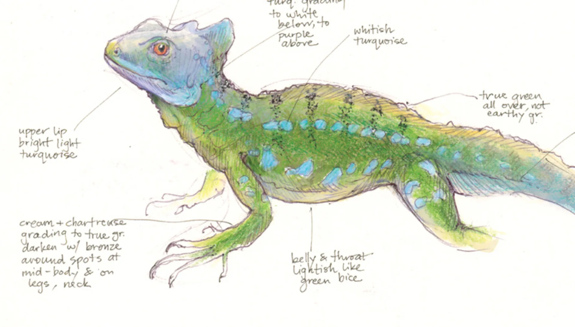 michael canfield - Fast Company