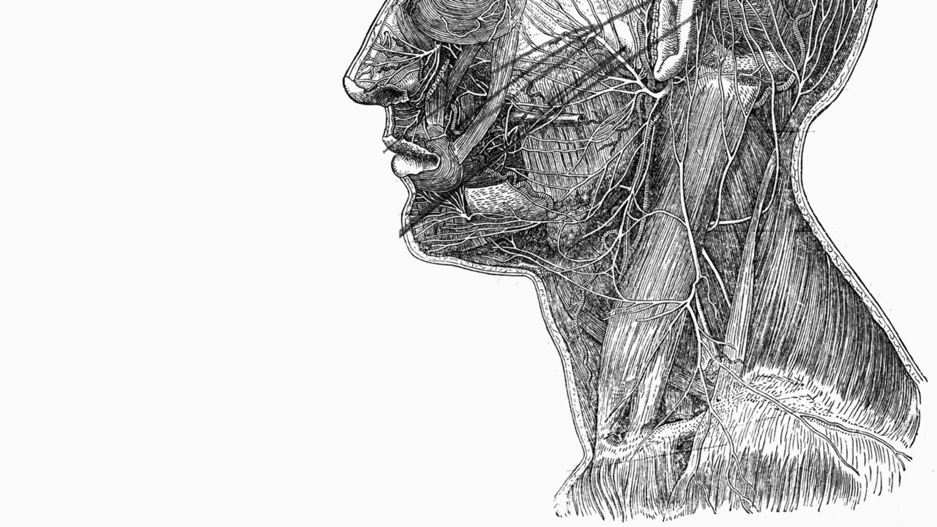 Painless Work: Computer Monitor Tracks Your Movements And Corrects Your ...