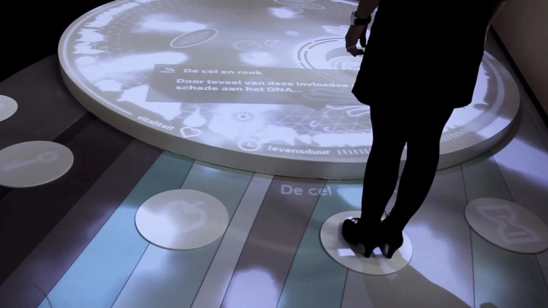 Take A Stroll Through This Living Human Cell - Fast Company