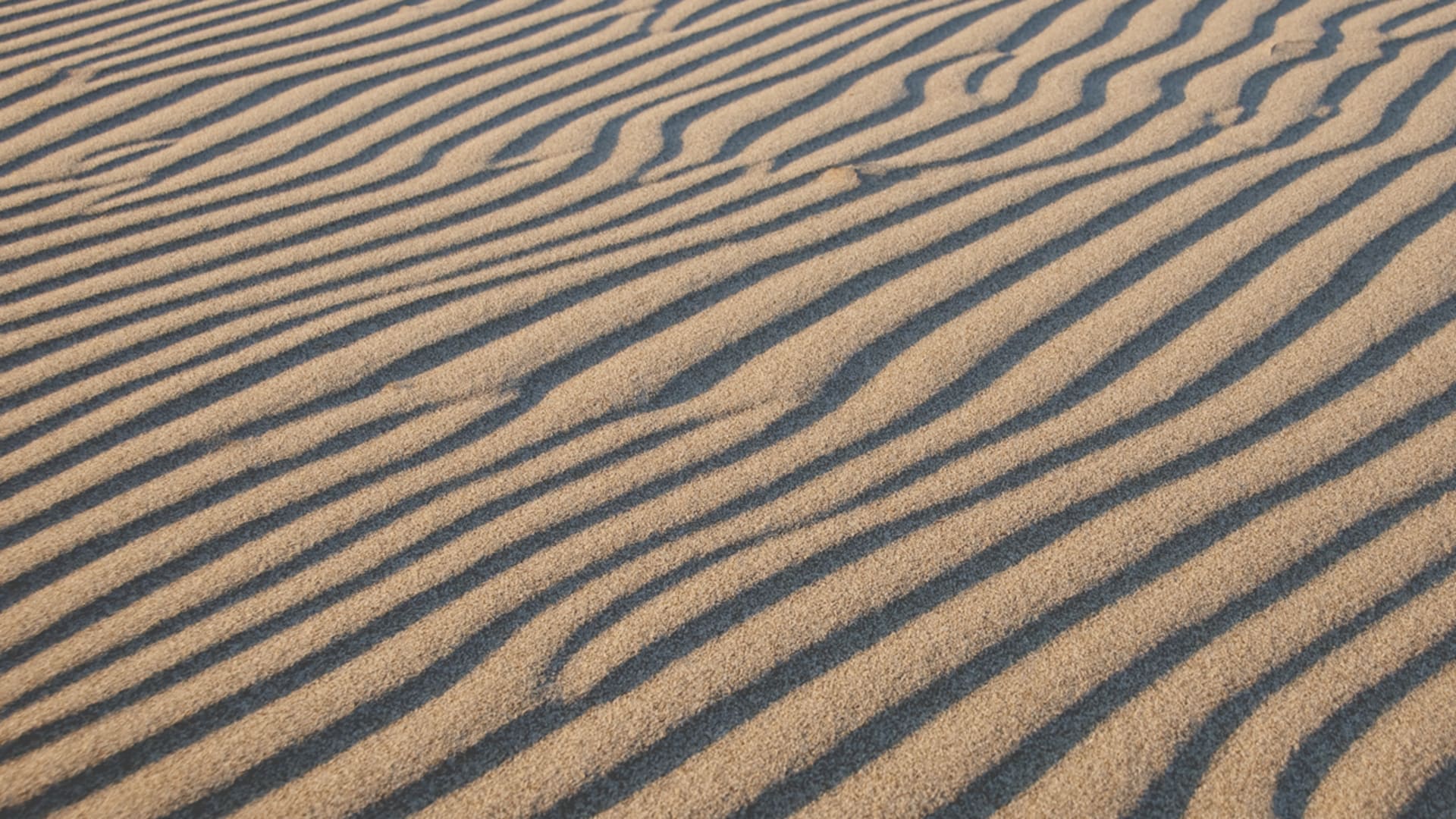 The 3 Future Waves In Design, And How To Ride Them - Fast Company