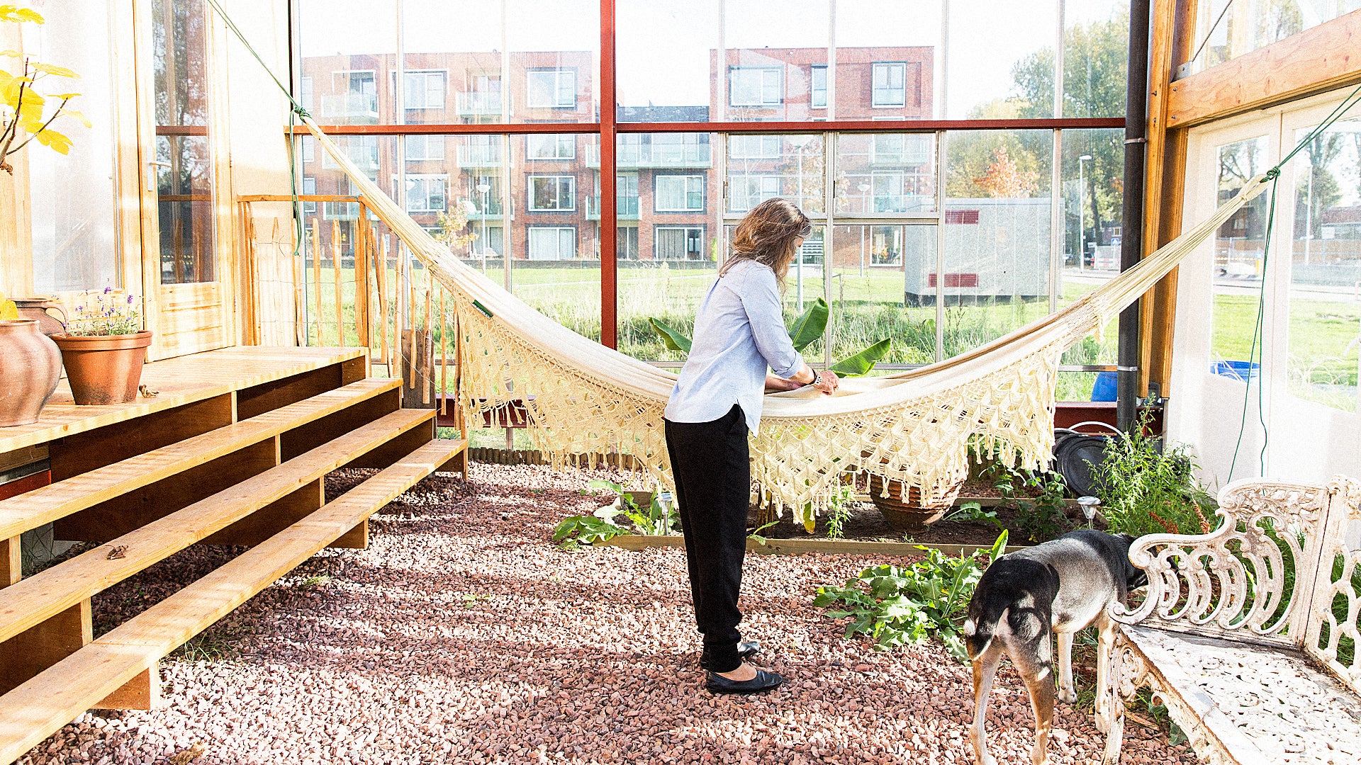 Experimental City: How Rotterdam Became A World Leader In Sustainable ...