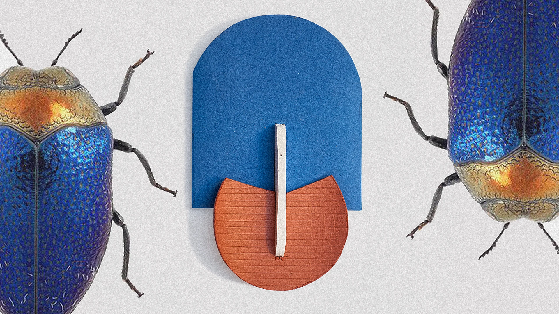 These Beautiful Acoustic Tiles Were Inspired By Beetle Shells - Fast ...