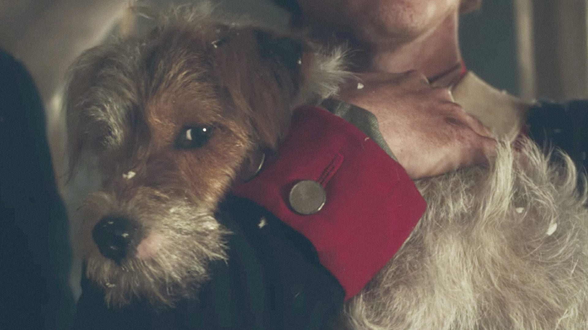 Celebrate America And Dogs With This Obscurely Sweet Revolutionary War ...