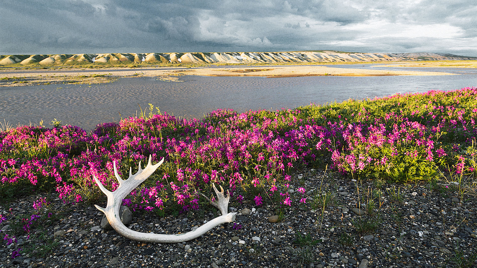 This Network Of Indigenous People Is Reporting From The Front Lines Of ...