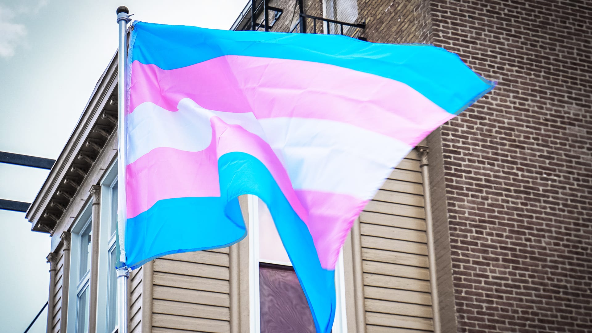 The Designer Of The Transgender Flag Is A Navy Veteran - Fast Company
