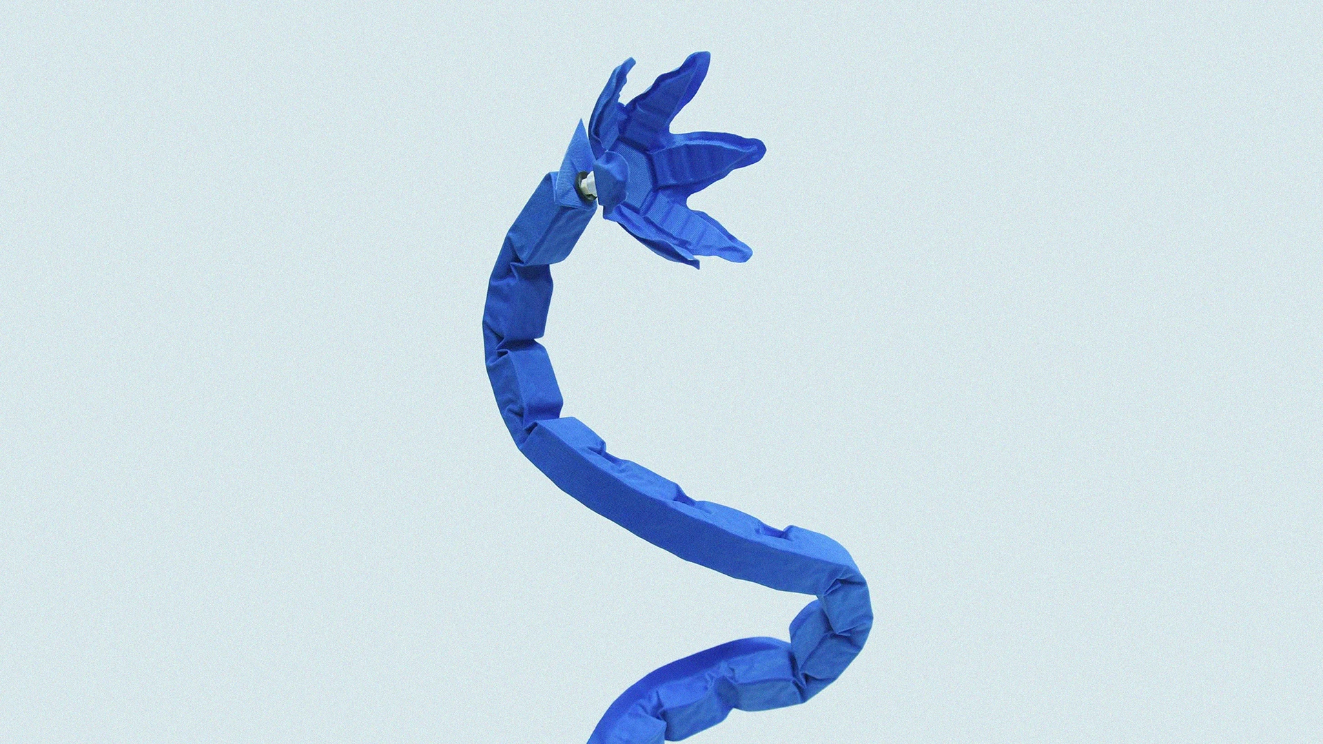 soft muscle - Fast Company