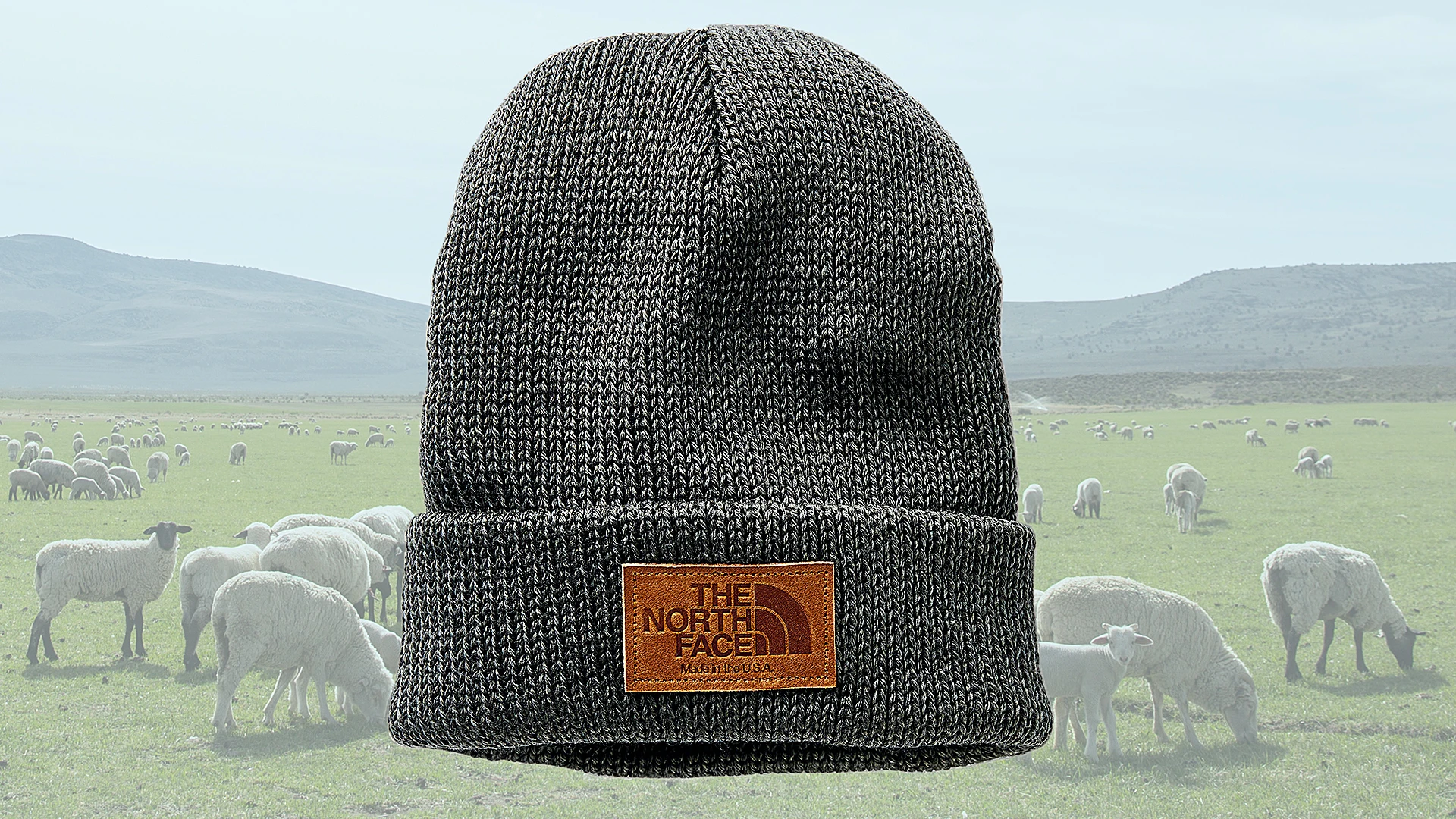 This "Climate Beneficial" Wool Hat Comes From Carbon-Positive Sheep ...
