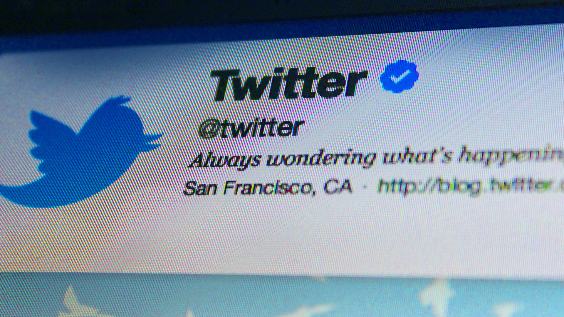 Twitter has quietly started verifying users again - Fast Company