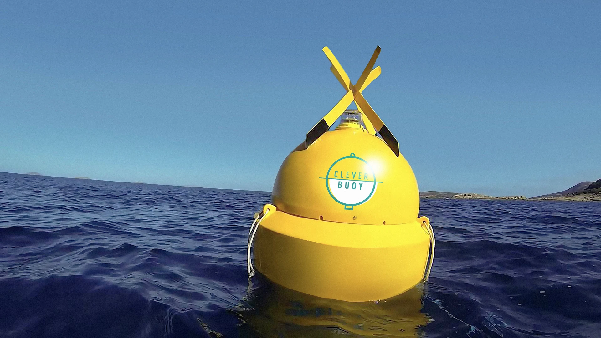 This AI-Powered Shark Detector Warns Swimmers When The Beach Isn't Safe ...