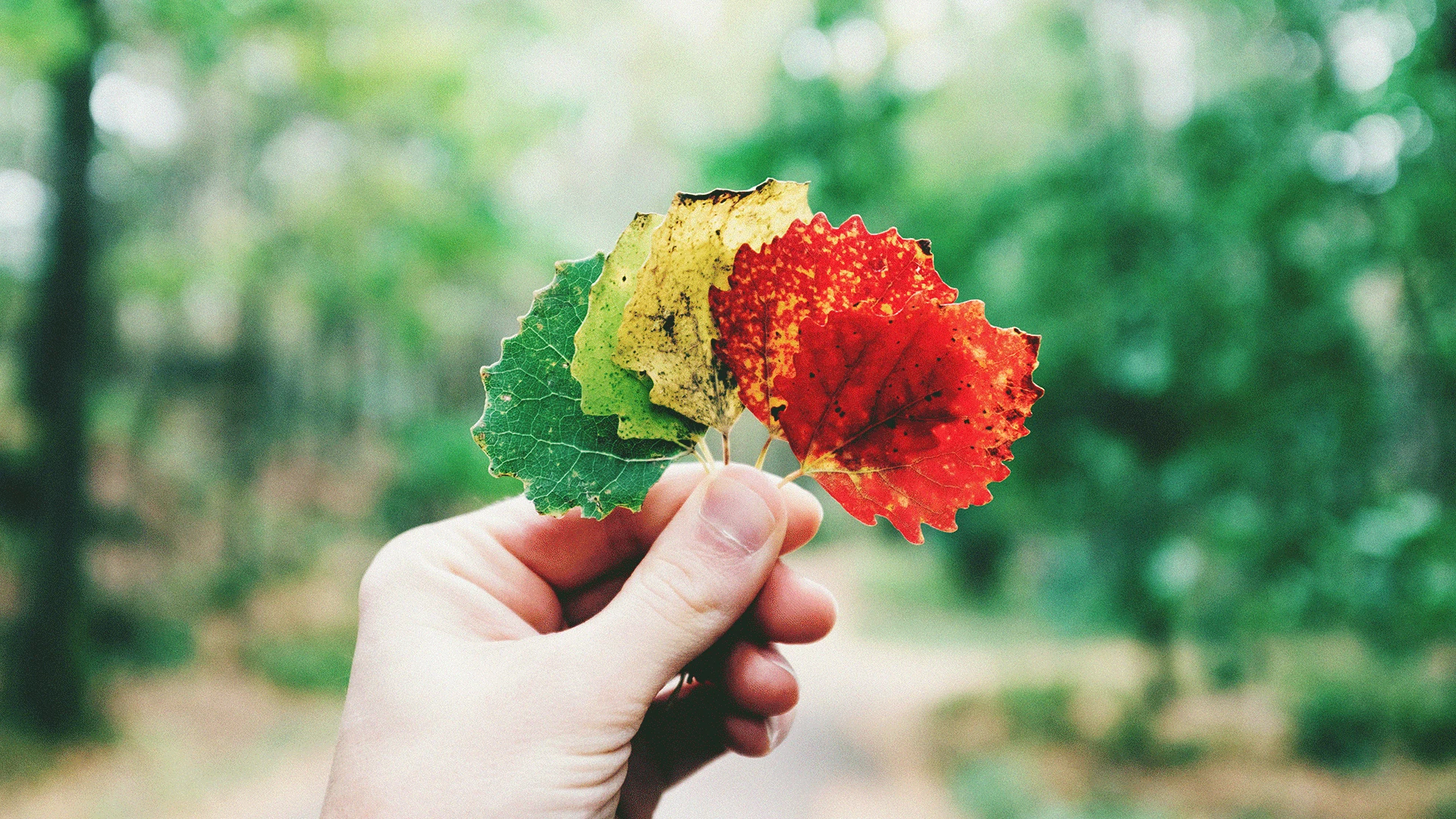 Take These Steps To Become Comfortable With Change - Fast Company