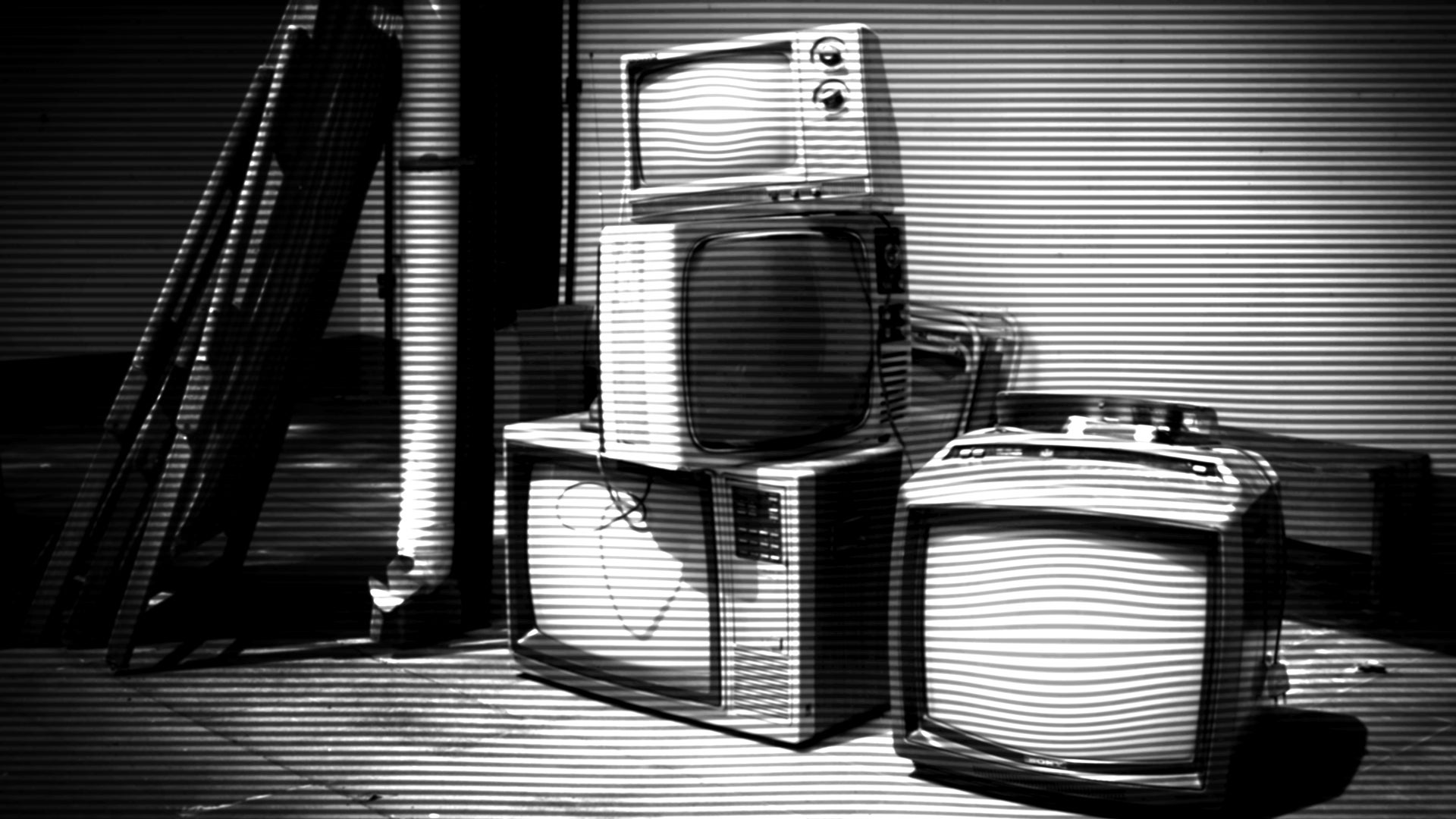 Orwell already knew in 1984: We willingly buy the 'telescreens' that ...