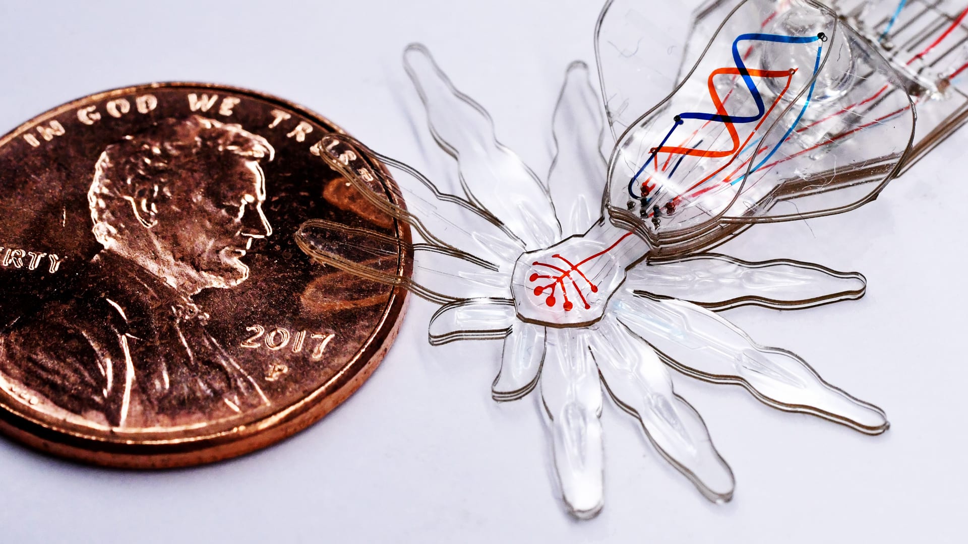 Someday this tiny spider bot could perform surgery inside your body ...