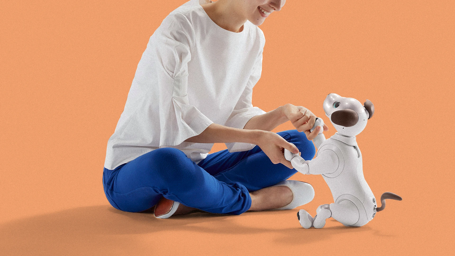 aibo - Fast Company
