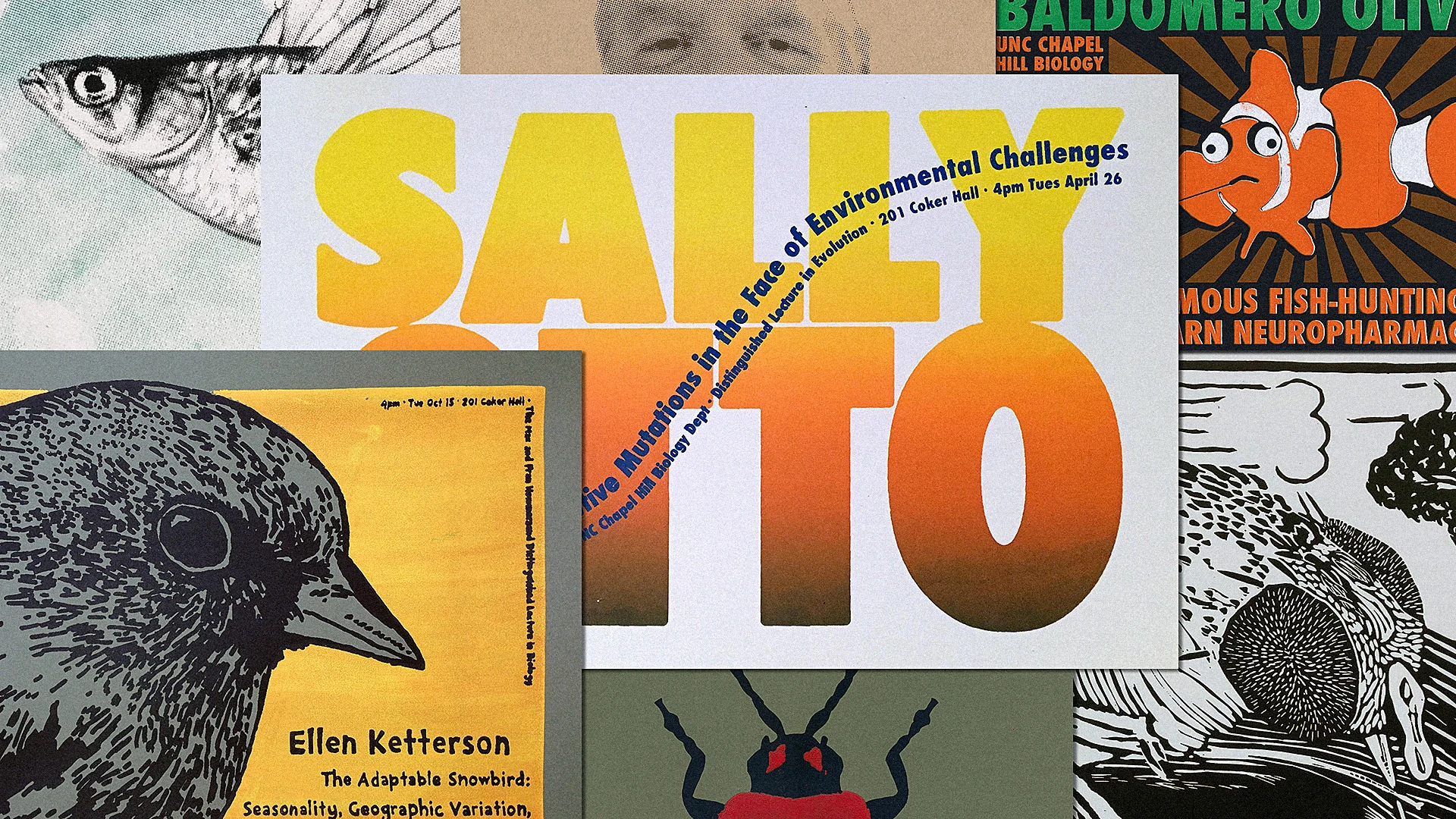 This scientist-designer makes awesome posters for university lectures ...