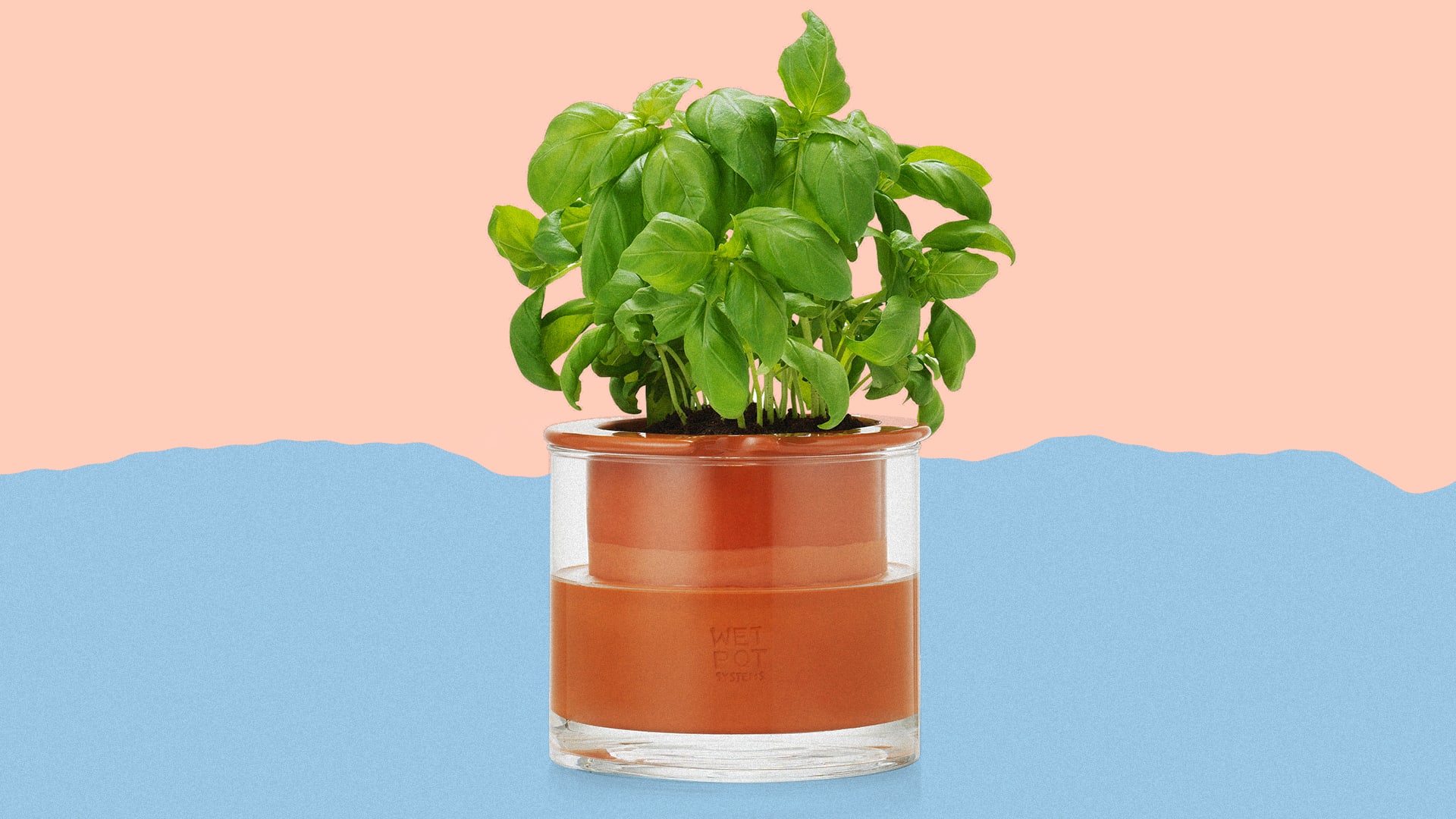 This lovely pot uses an ancient technique to keep houseplants alive ...