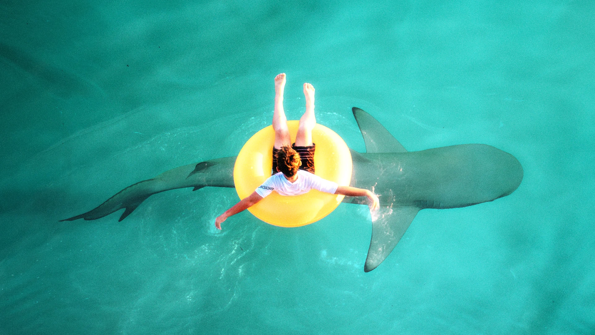 How to spot fake photos online - Fast Company