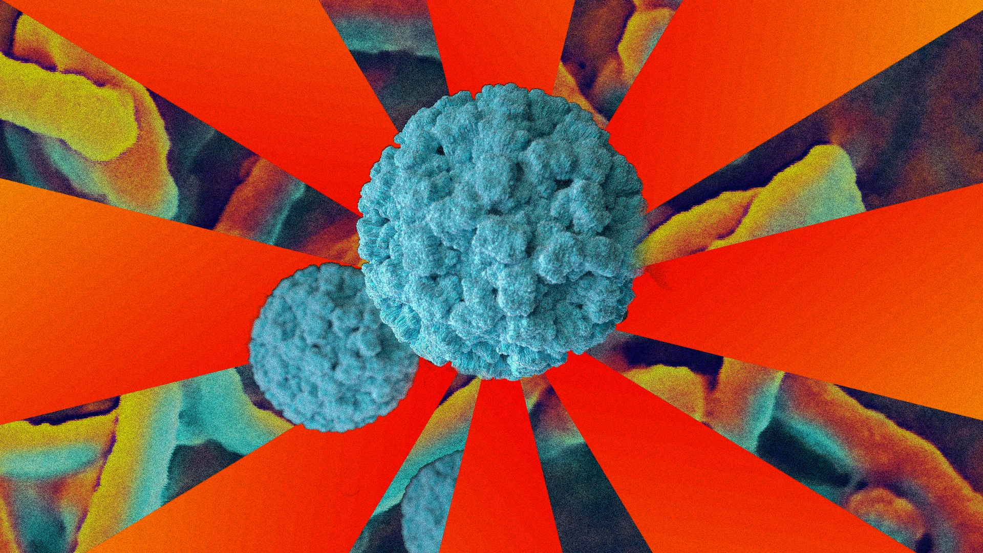 Watch epidemics as they spread in real time with this new disease map ...